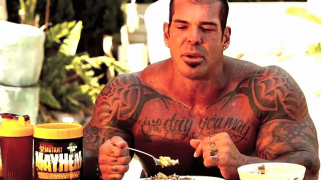 Rich Piana Wiki